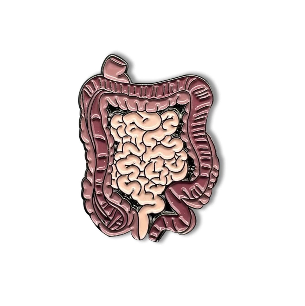 GI System Anatomy – MedStore